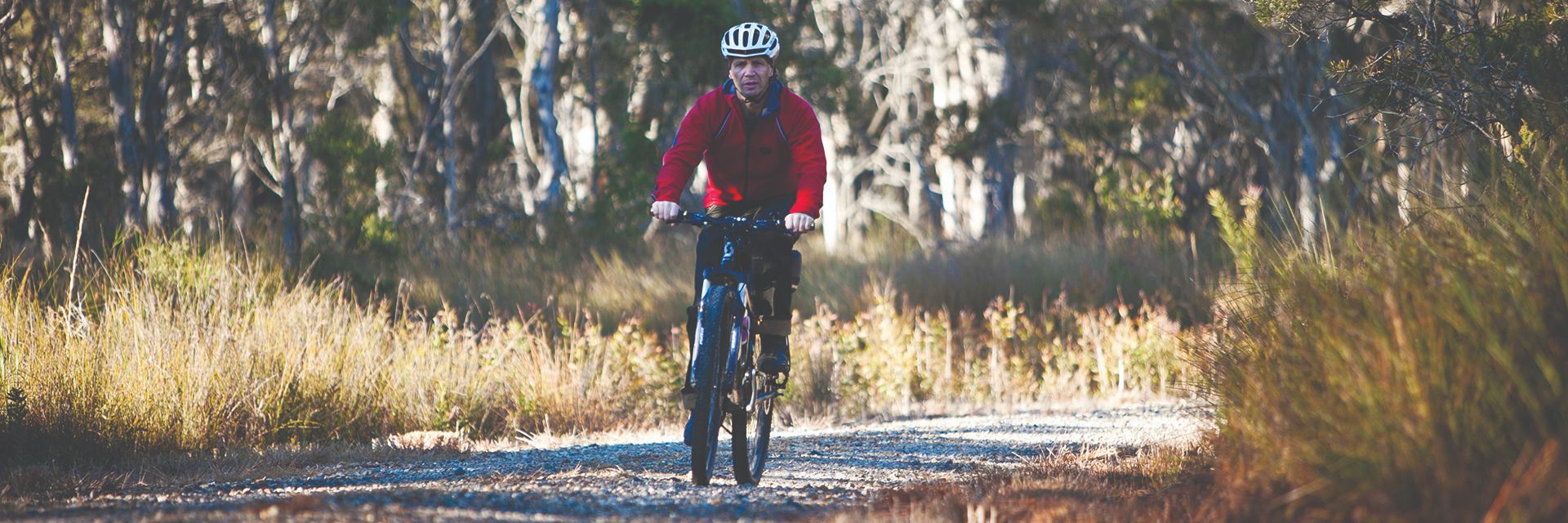 Draft Walking and Cycling Plan | Port Macquarie Hastings Council Have ...